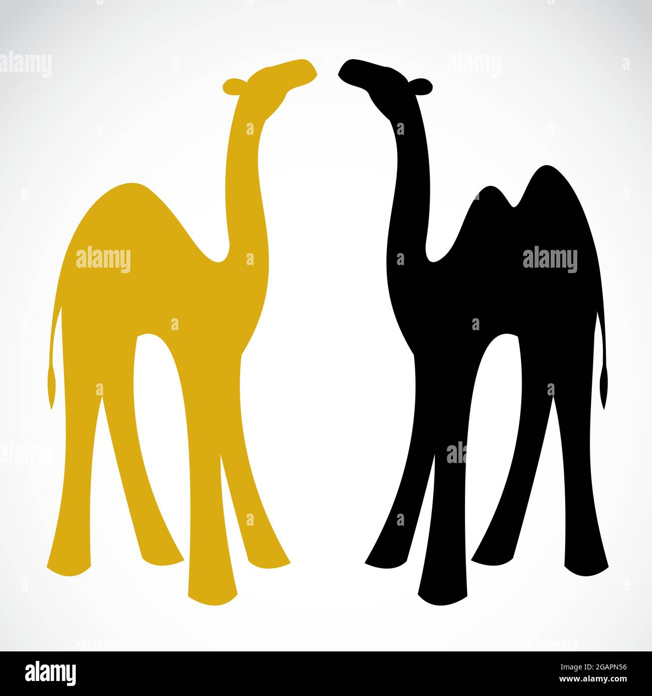 Vector image of a camel on white background. Easy editable layered ...