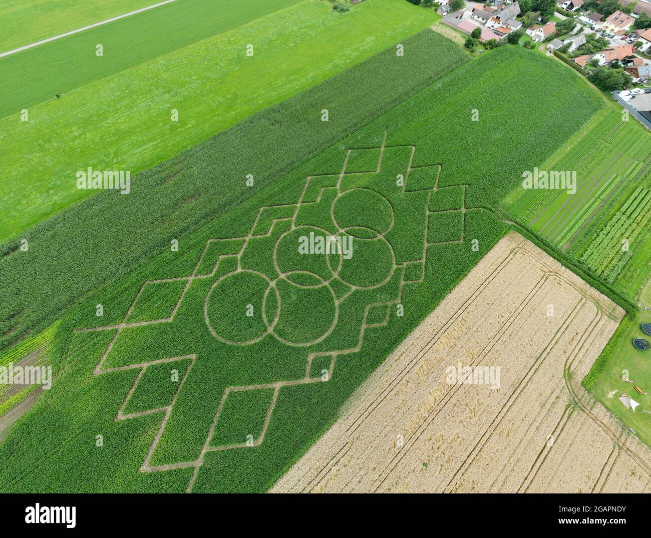 Oberding Bei Weilheim, Germany. 31st July, 2021. The Olympic rings can ...