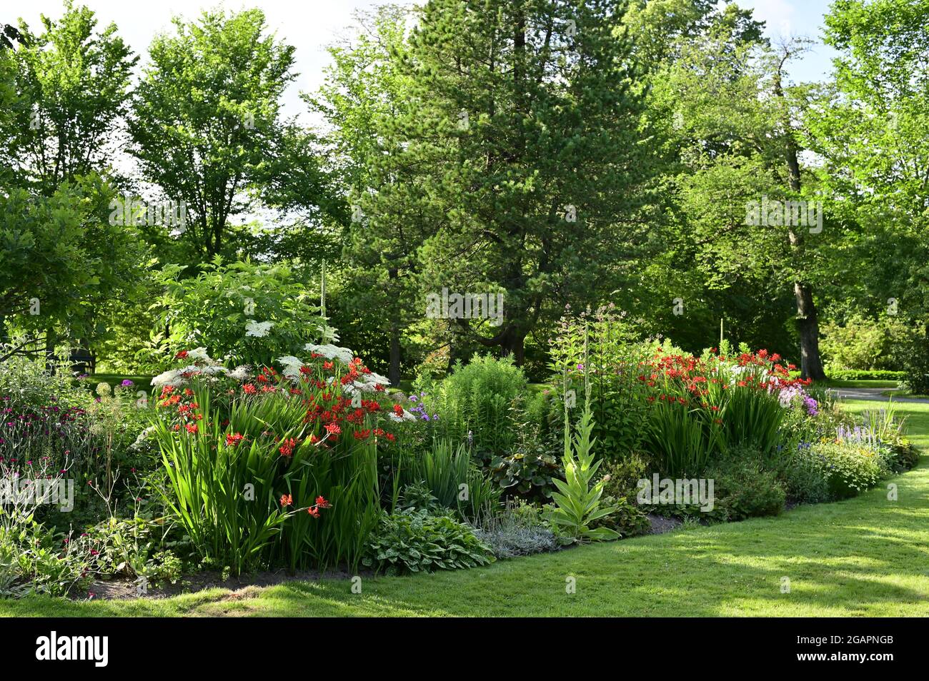 Beautiful landscape design in a public park Stock Photo - Alamy