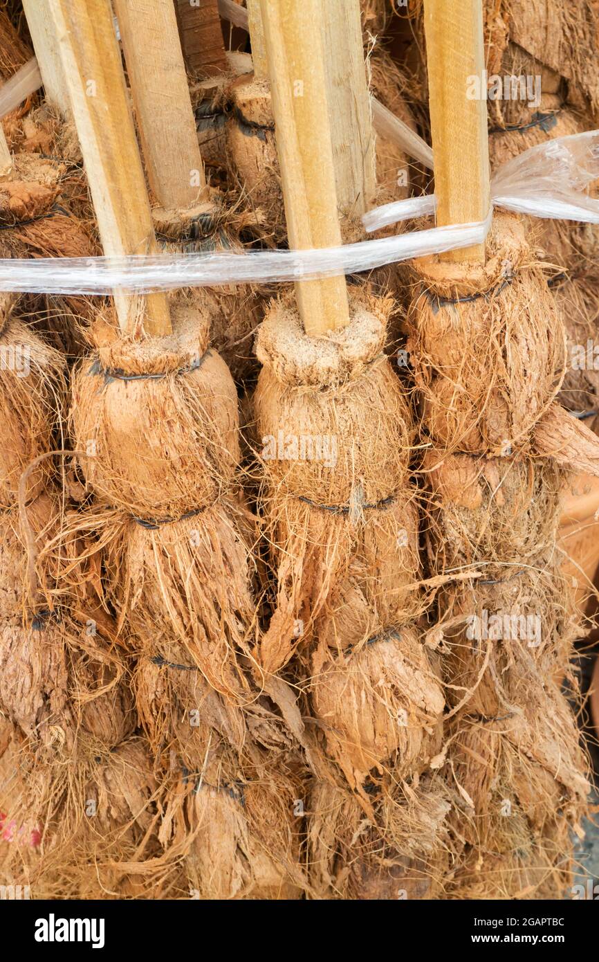 Coconut flakes plant pole for sale, stock photo Stock Photo - Alamy