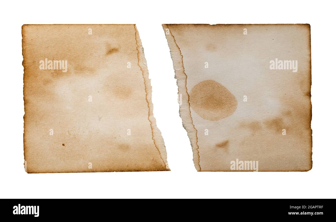 Vintage background with ripped old paper isolated on white background ...