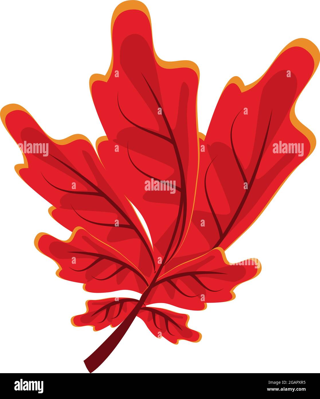 tree leaf botanical Stock Vector Image & Art - Alamy
