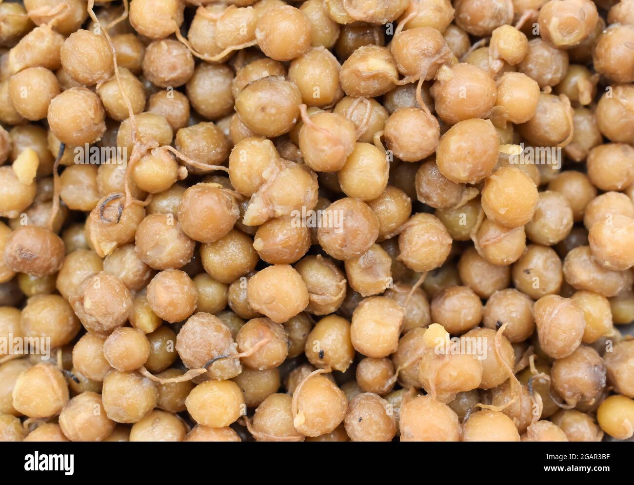 Southeast Asian, Myanmar traditional cooked yellow peas with oil ...