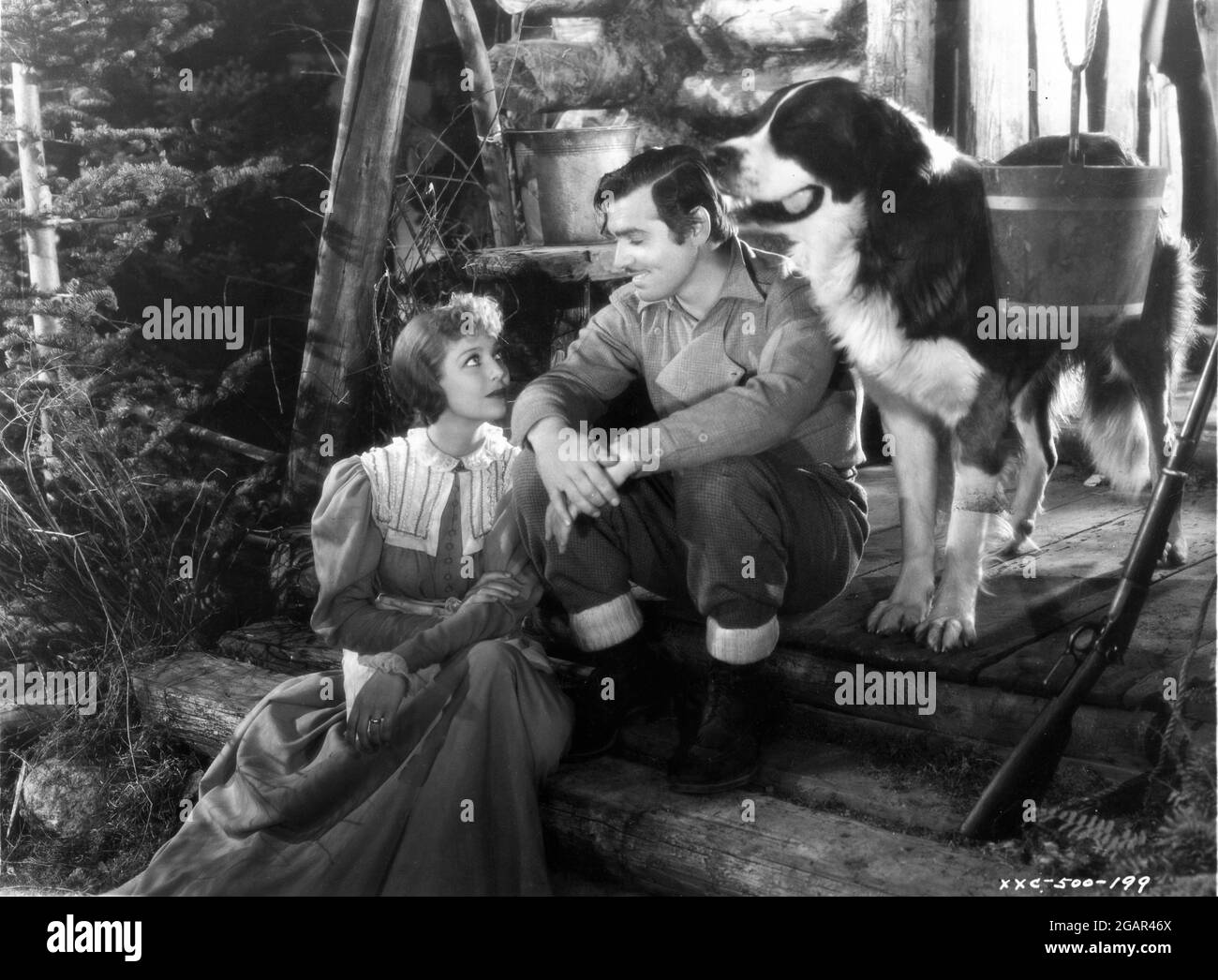 The call of the wild with clark gable Black and White Stock Photos ...
