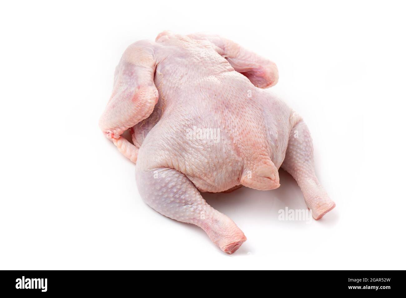A whole chicken carcass on a white background Stock Photo - Alamy