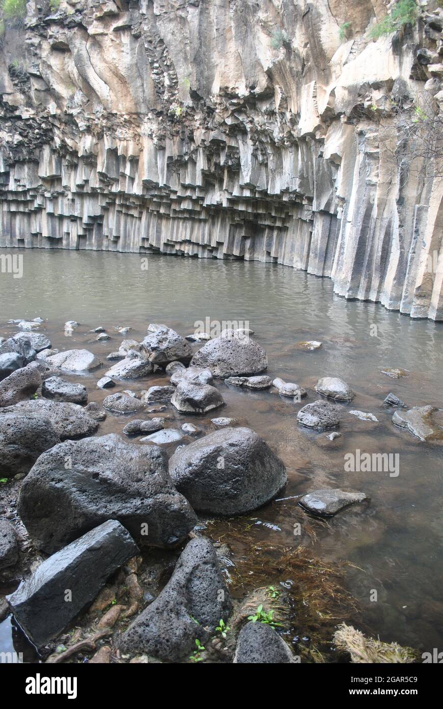 The Hexagon Pool is a natural pool in the Meshushim Reserve, in the ...
