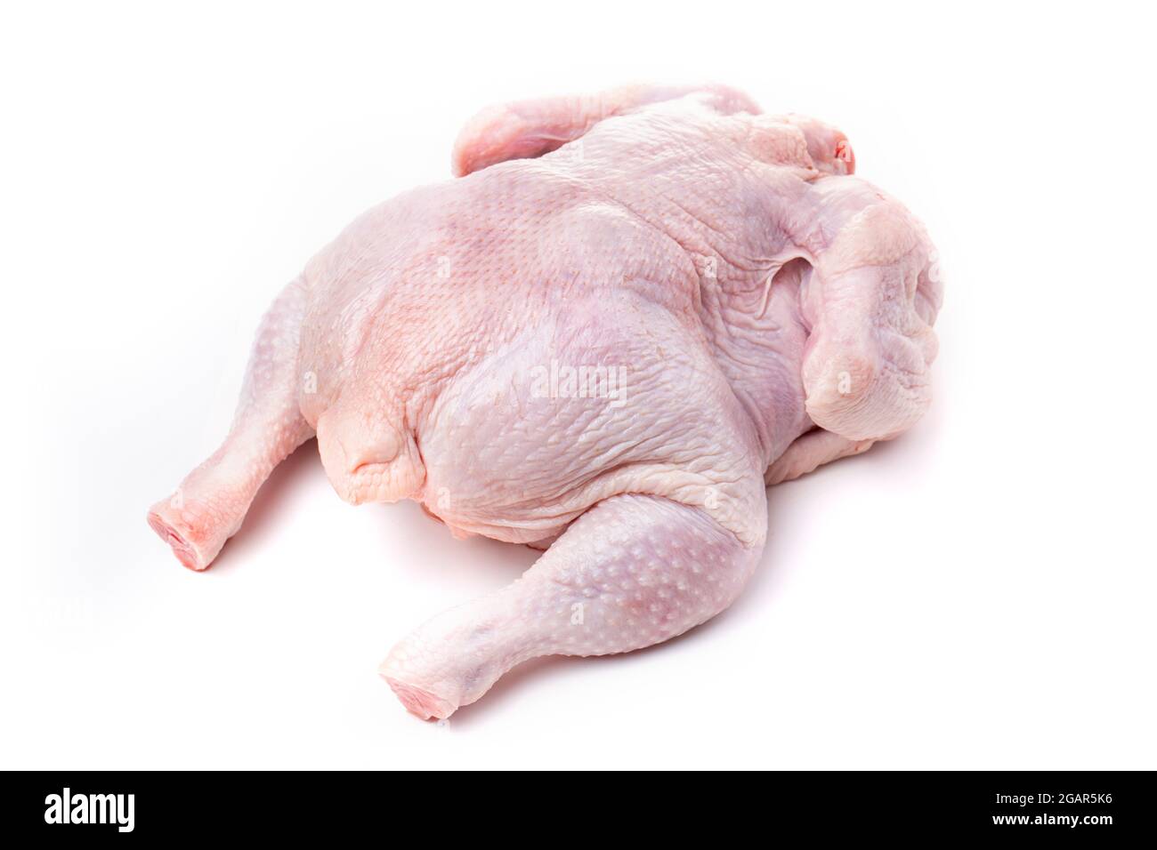 A whole chicken carcass on a white background Stock Photo - Alamy