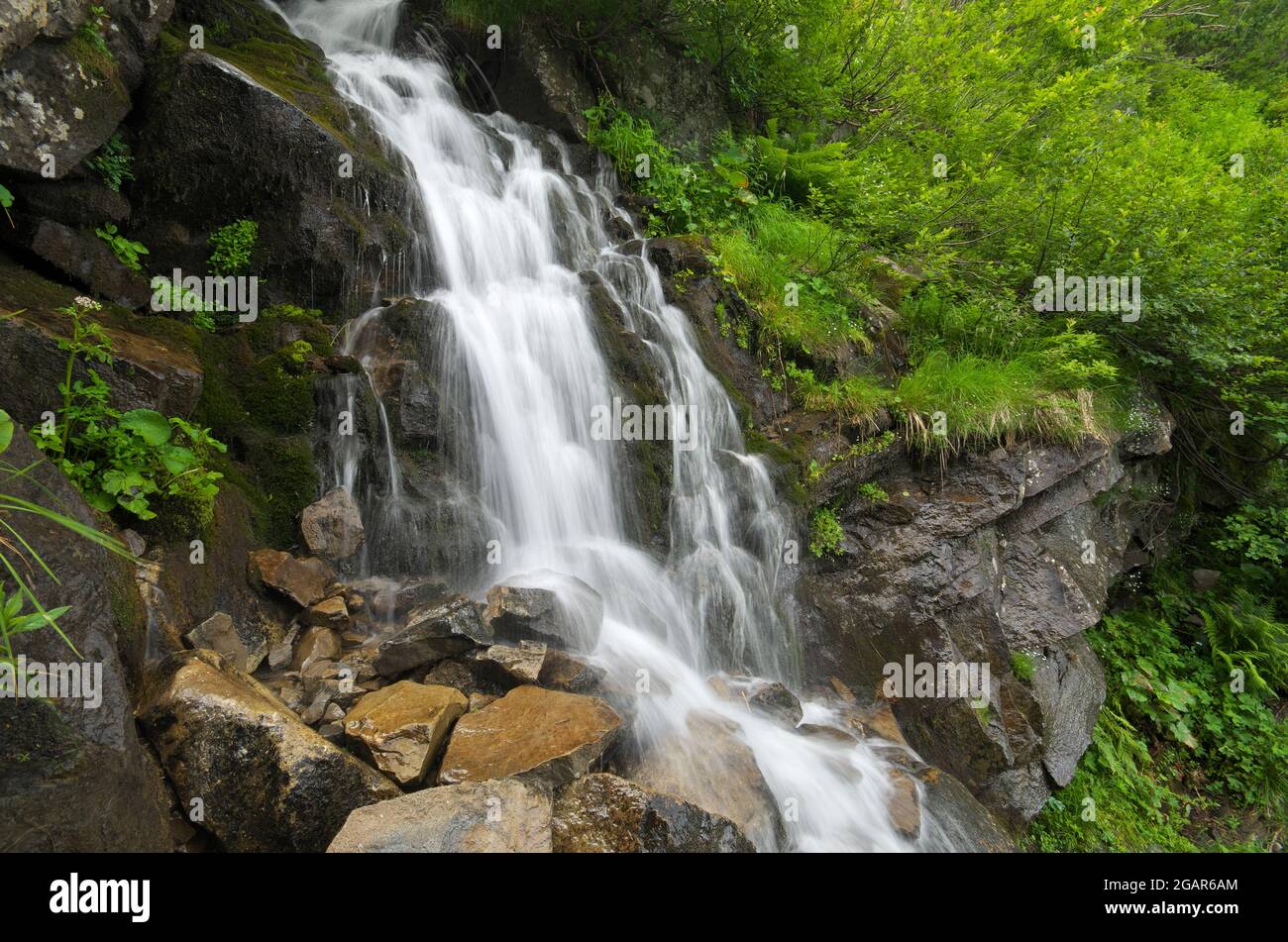 Spring rill flow in mountain. Nature composition Stock Photo - Alamy