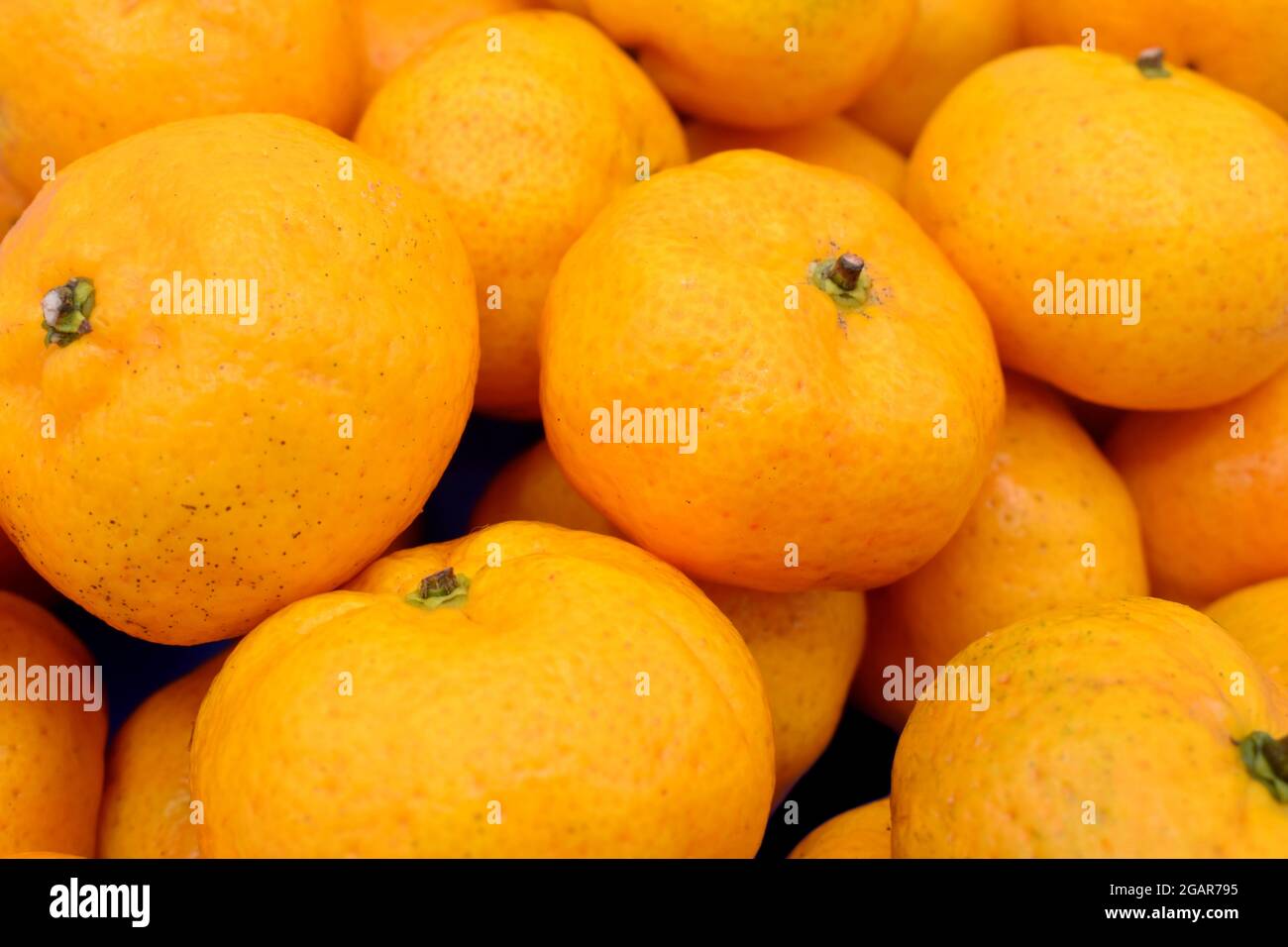 To full stacks hi-res stock photography and images - Alamy