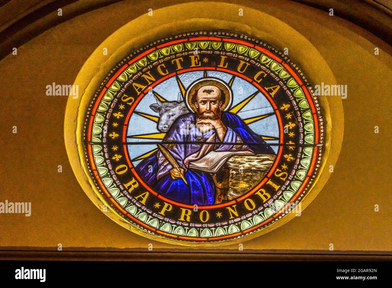 Saint luke bull hi-res stock photography and images - Alamy