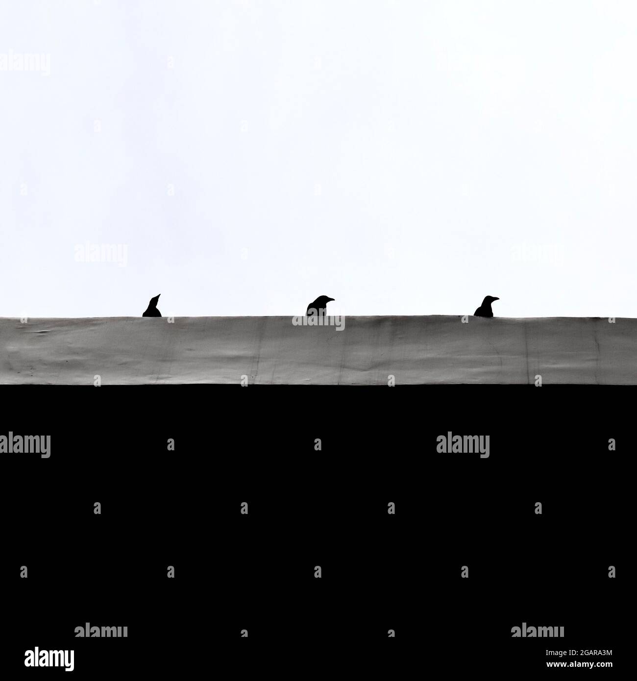 Crows feet hi-res stock photography and images - Alamy