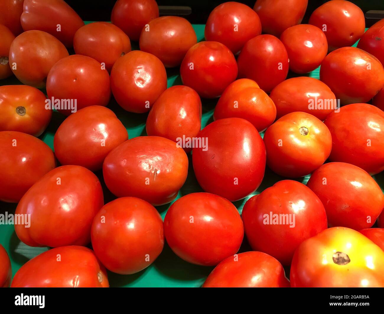 Fresh and ripe red tomatoes in green background. Red fruits pattern ...