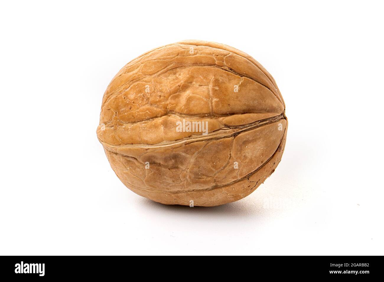 One walnut isolated on a white background Stock Photo - Alamy