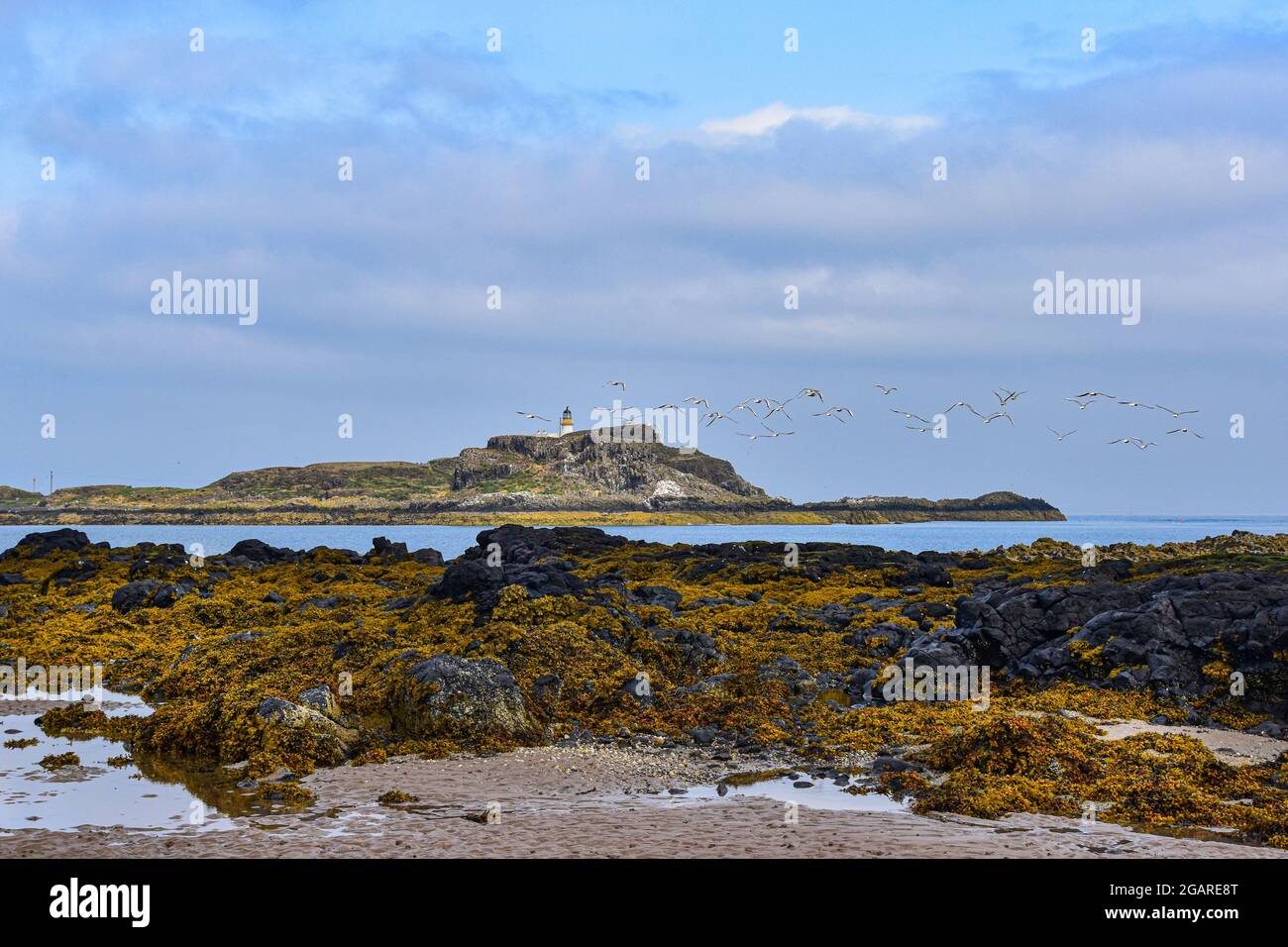 Fidra east lothian hi-res stock photography and images - Alamy