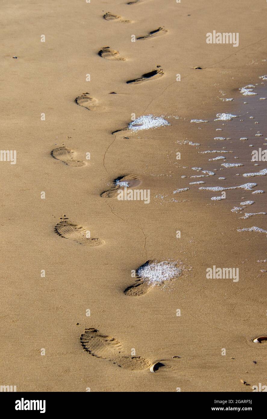 Beach scene from Lookout Beach in Plettenberg Bay on the Garden Route ...