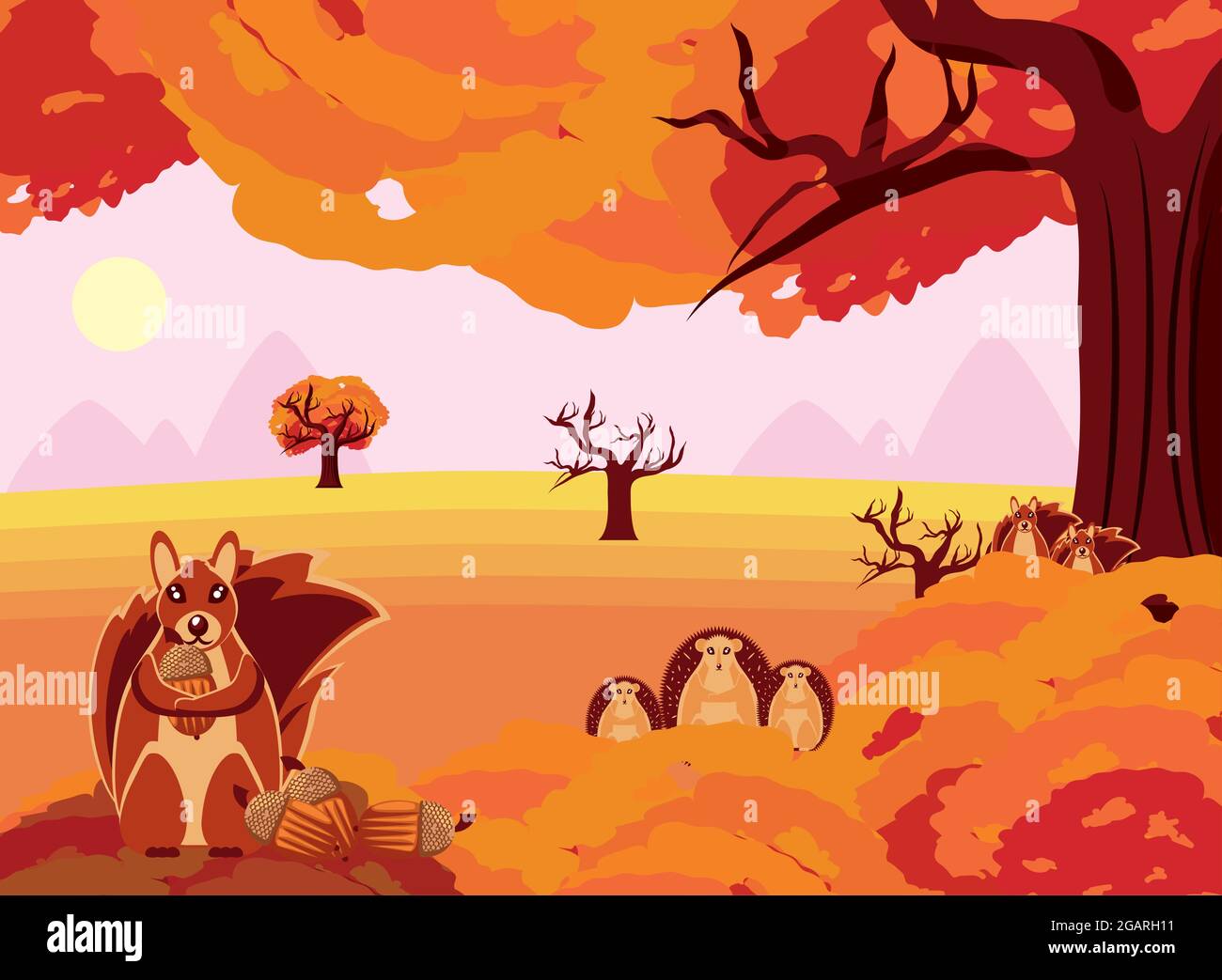 autumn animals forest Stock Vector Image & Art - Alamy
