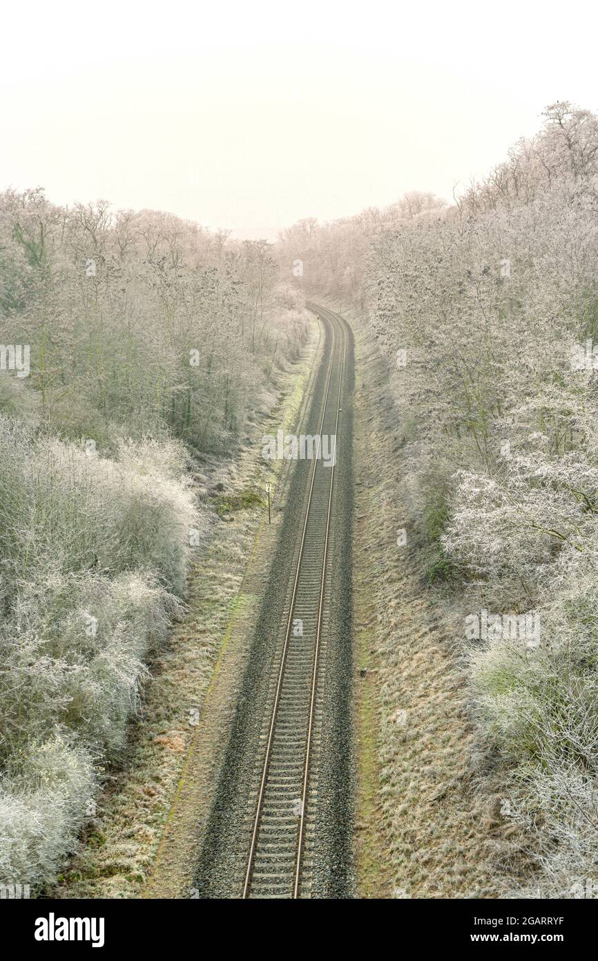 A vertical shot of a train railway in the middle of the forest Stock ...