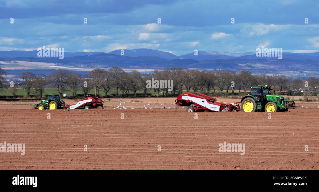 Potato drills hi-res stock photography and images - Alamy
