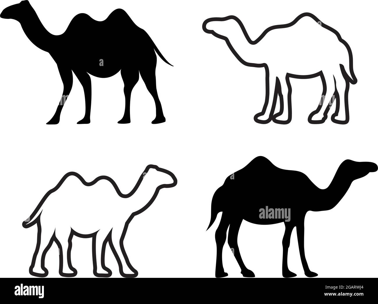 Camel vector bundle hi-res stock photography and images - Alamy