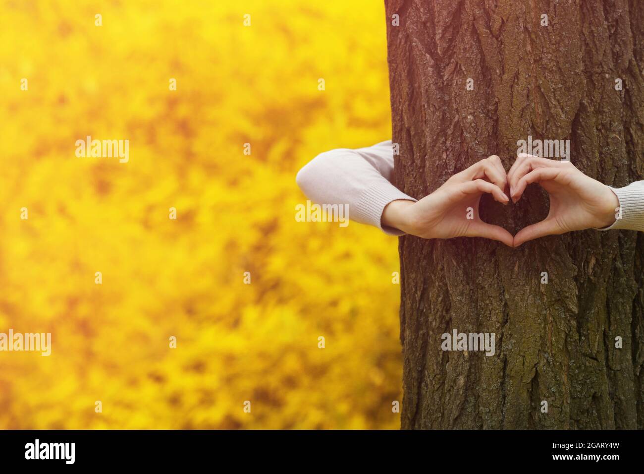 Human hands hugging tree in the park Stock Photo - Alamy