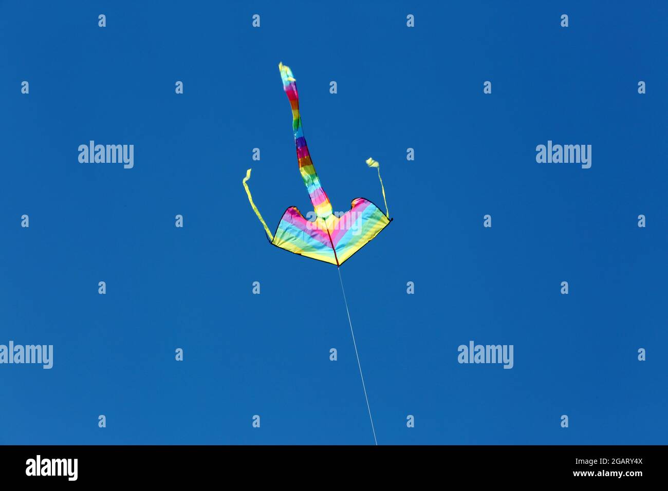 Kite in dark blue sky background Stock Photo - Alamy