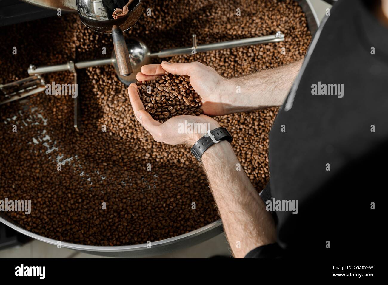 Coffee processing. Roastery, roasting machine and fresh beans Stock ...
