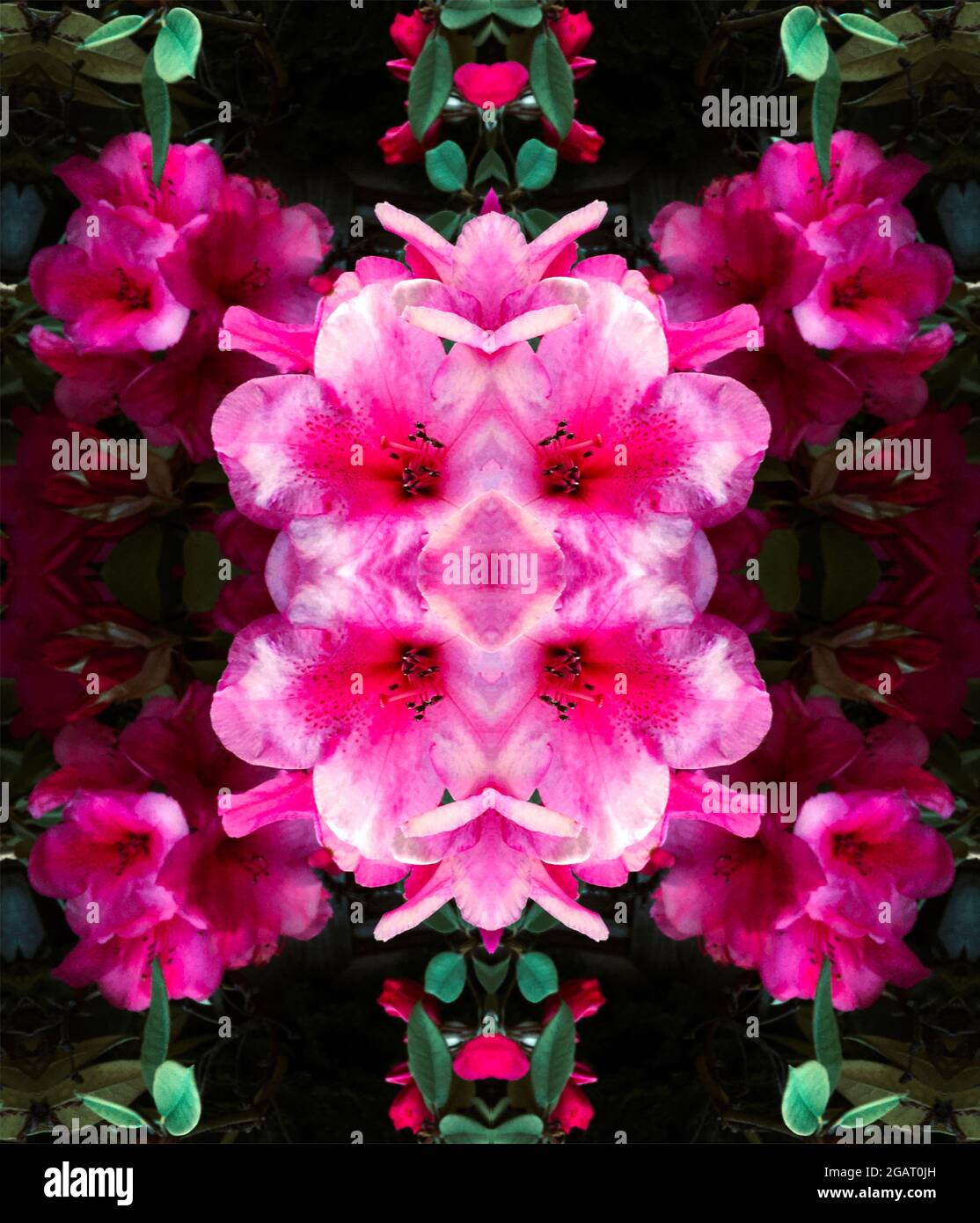 pink cherry blossom pattern Stock Photo - Alamy