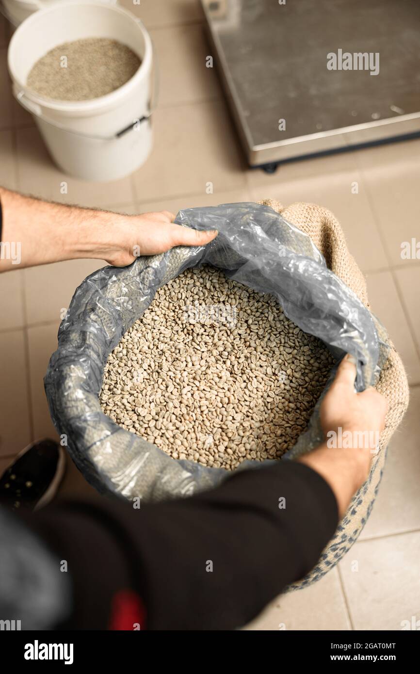 raw coffee testing before roast Stock Photo - Alamy