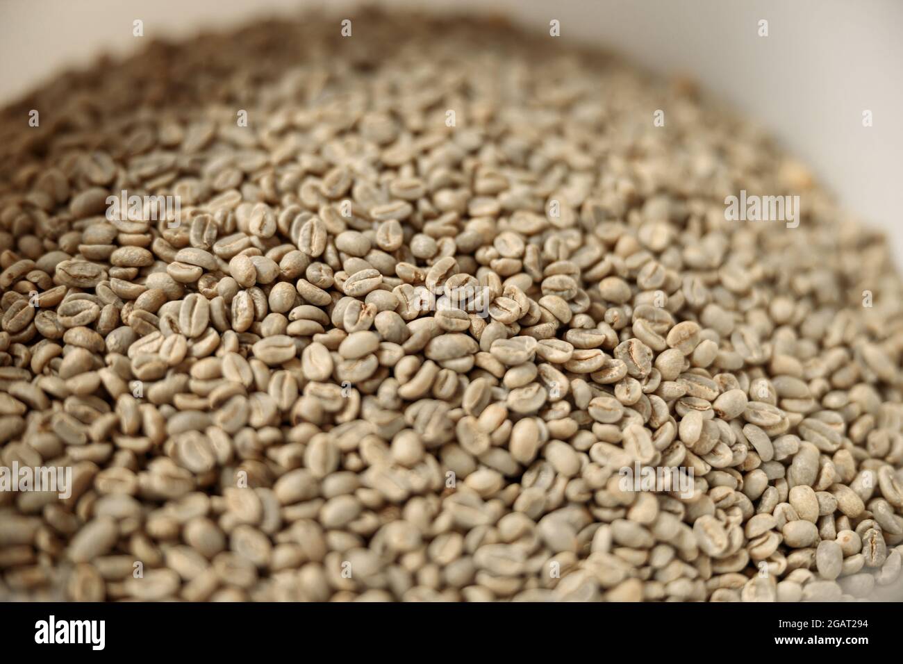 raw coffee testing before roast Stock Photo - Alamy