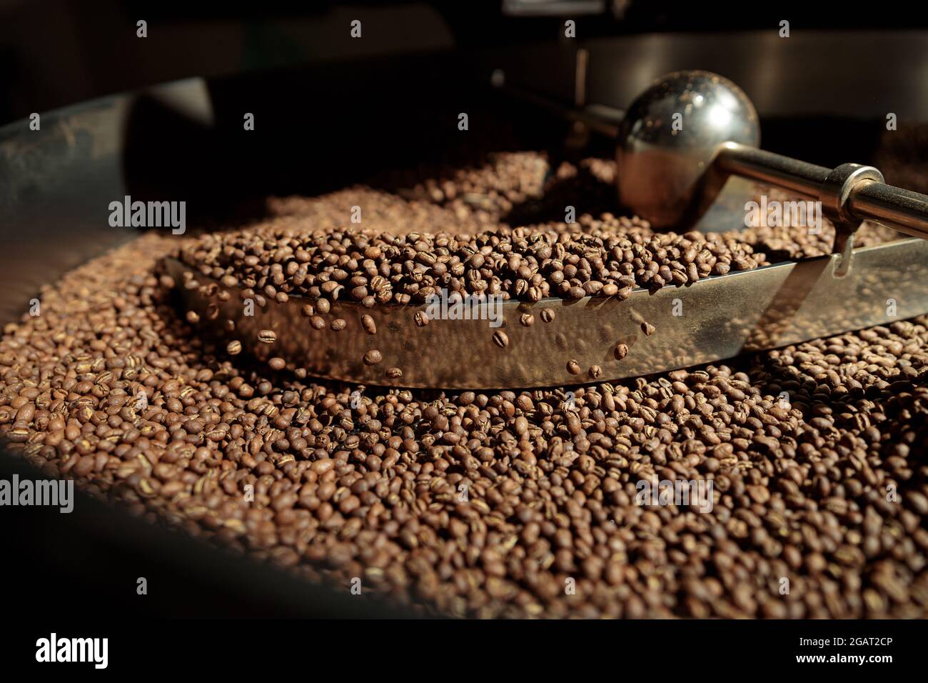 Coffee processing. Roastery, roasting machine and fresh beans Stock ...