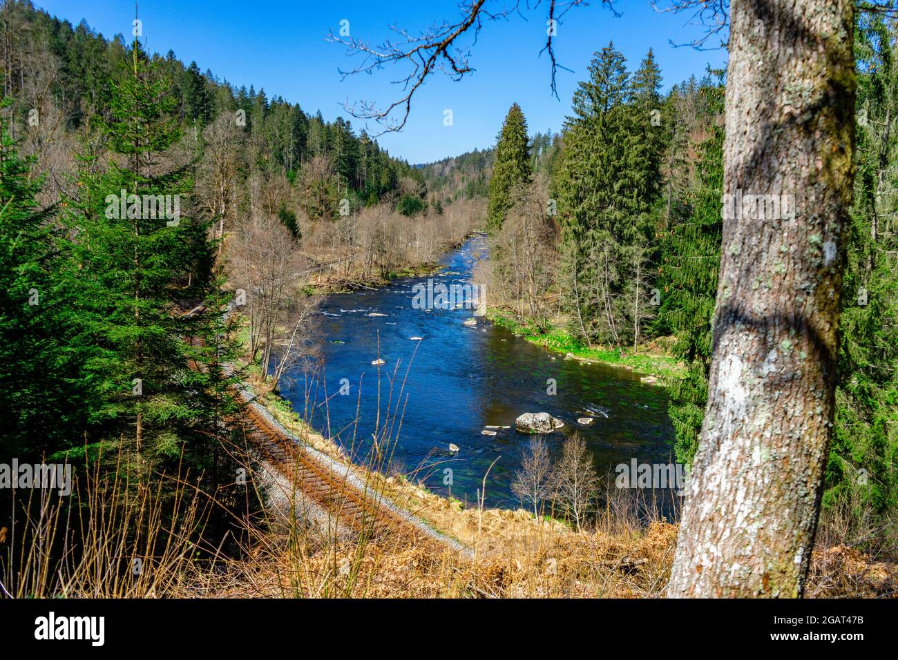 Hike to the Castle Ruins of Altnussberg in the Bavarian Forest Stock ...