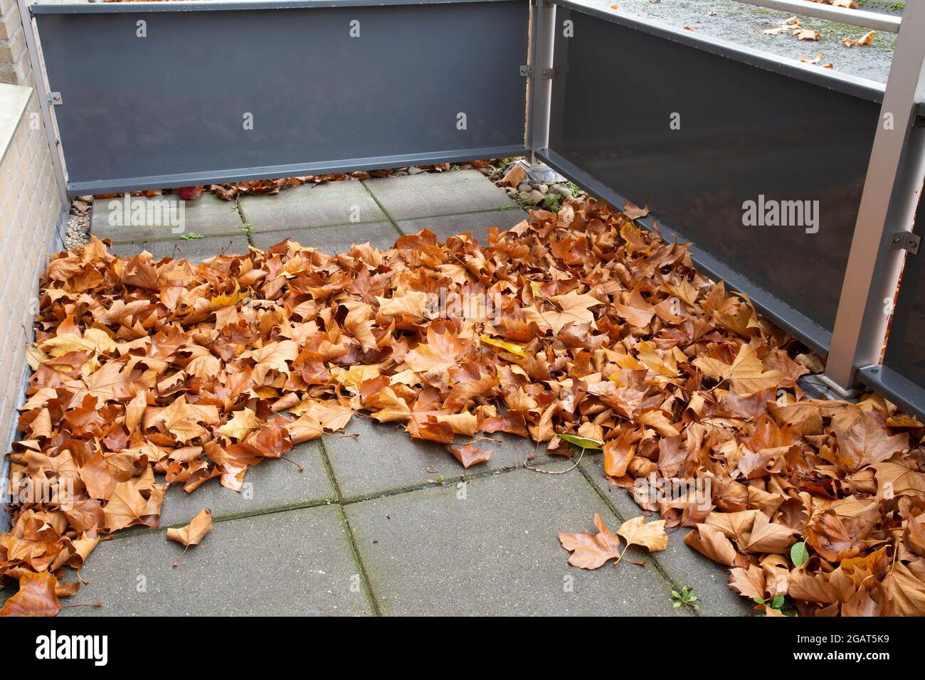 Balcony fall leaves hi-res stock photography and images - Alamy