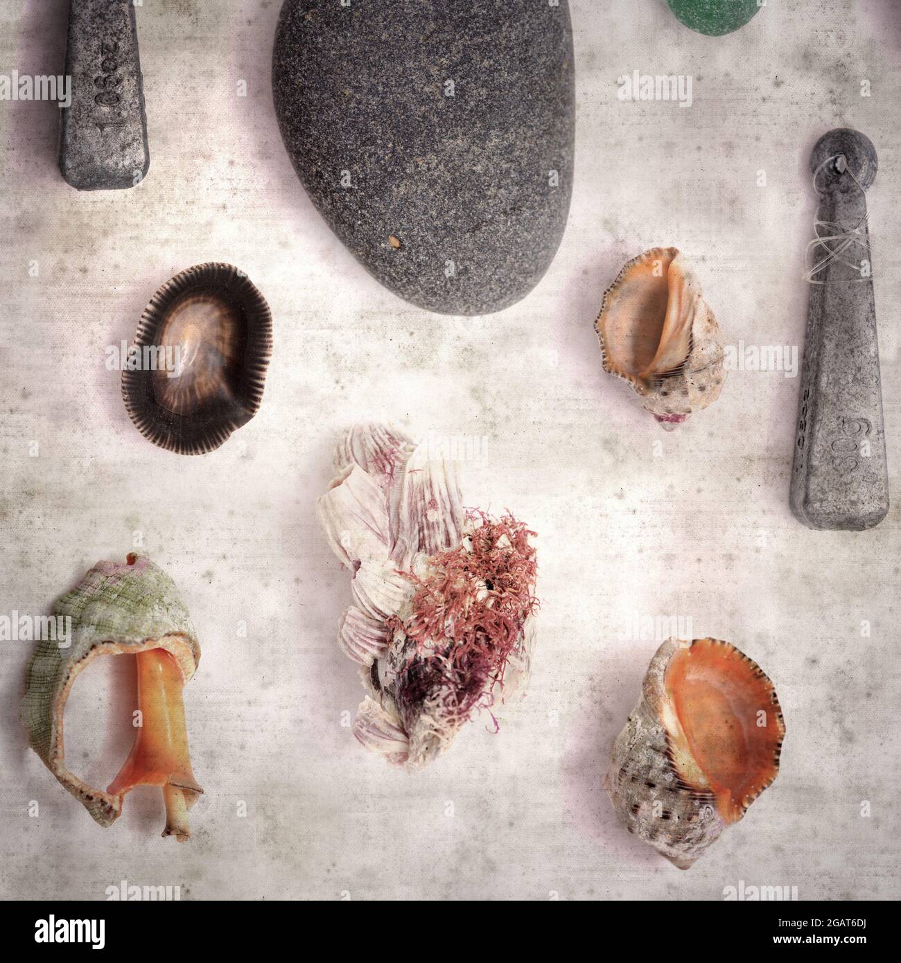 stylish textured old paper background with various objects found on ...