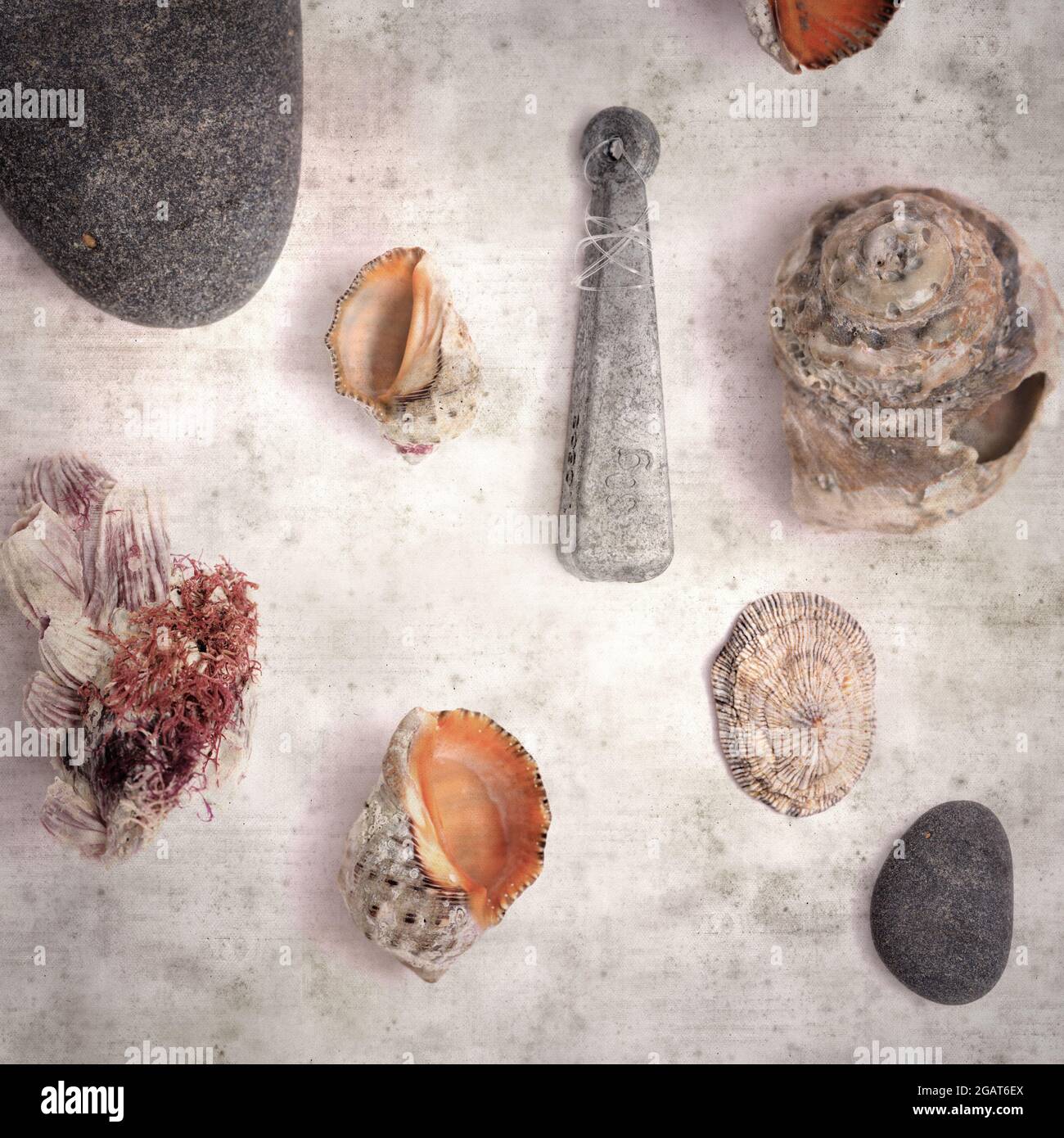 stylish textured old paper background with various objects found on ...