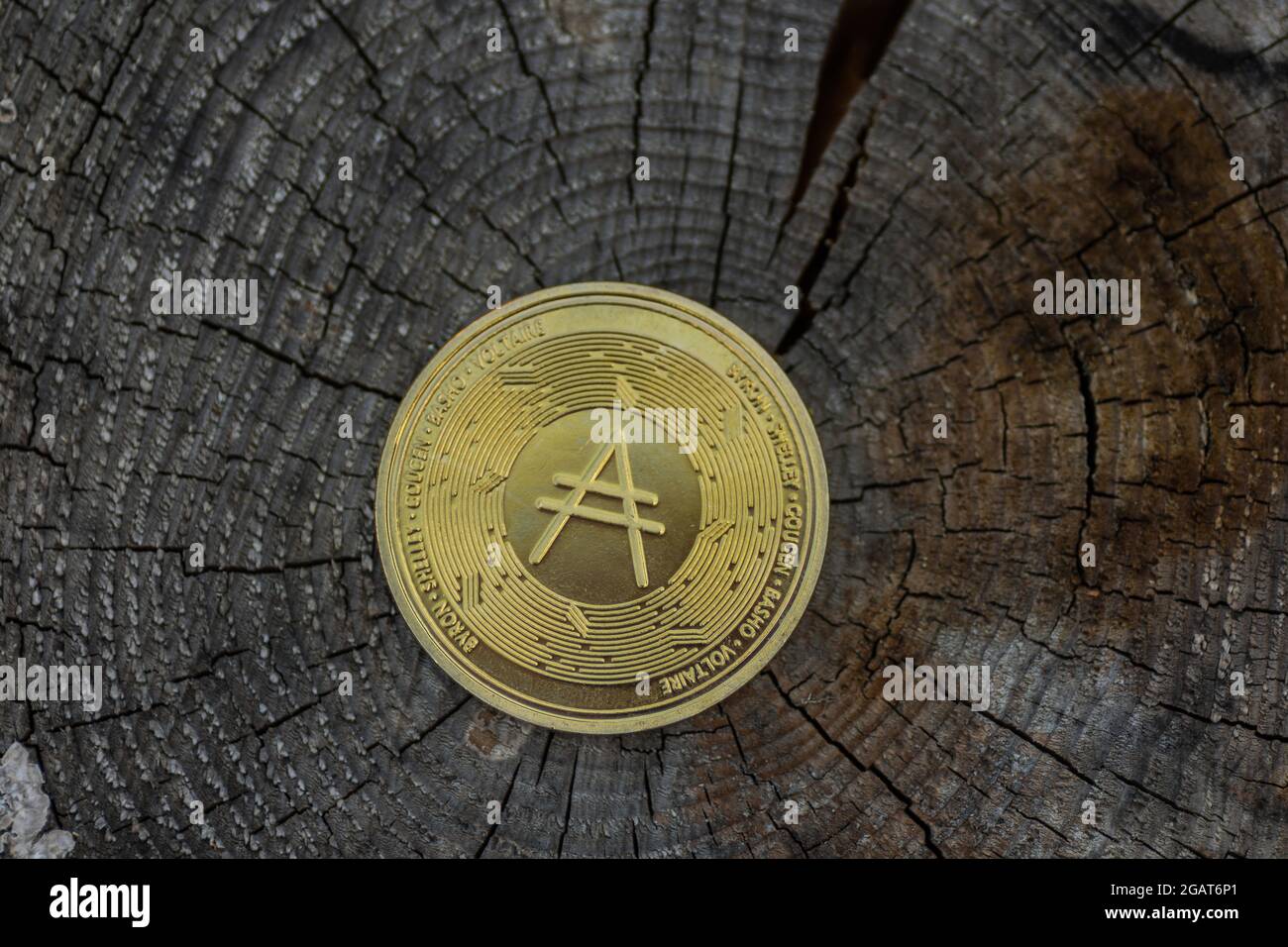 single golden ada coin from cardano currency lying on a dark cracked ...