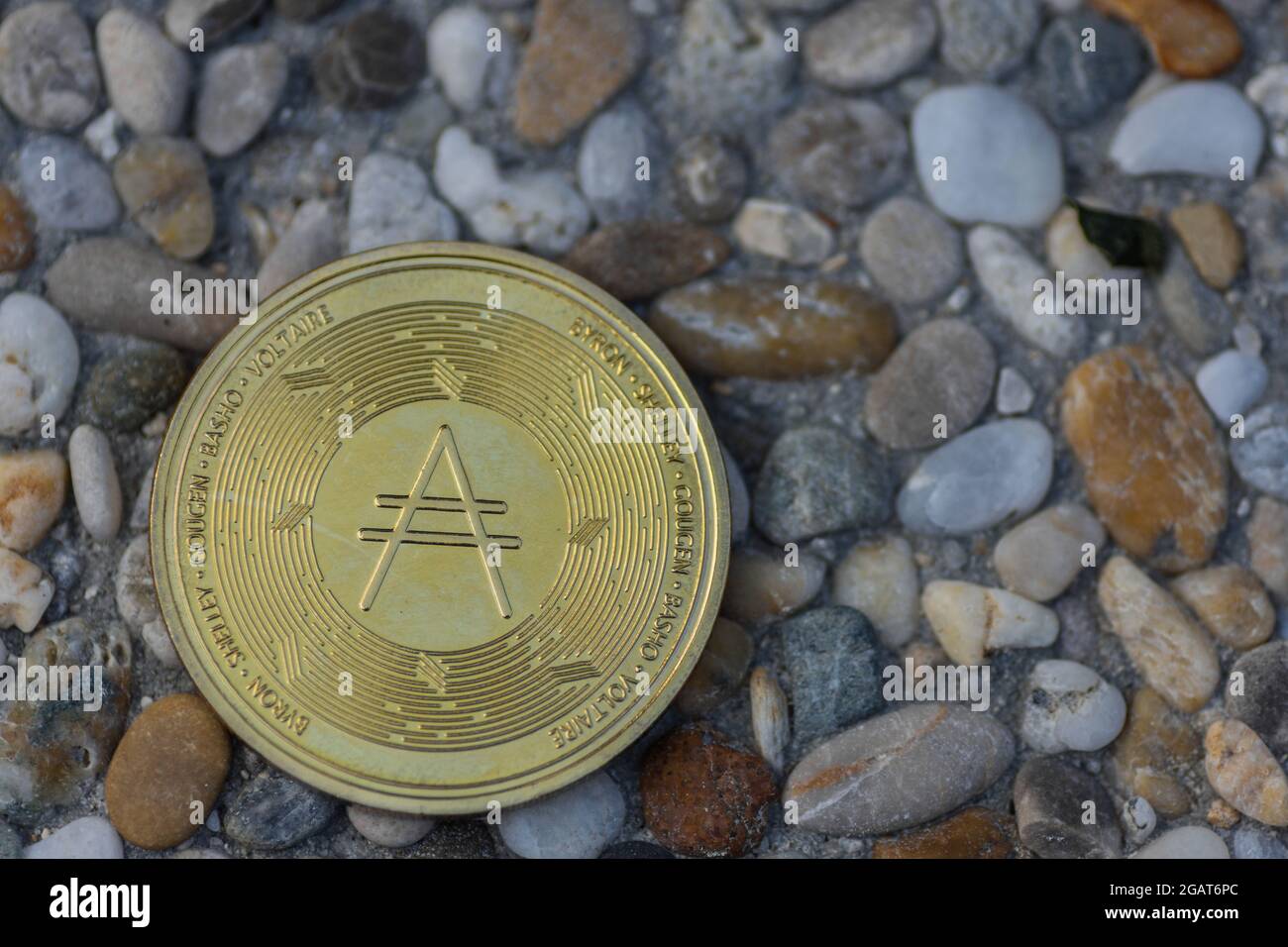 single golden ada coin from cardano currency lying on little colorful ...