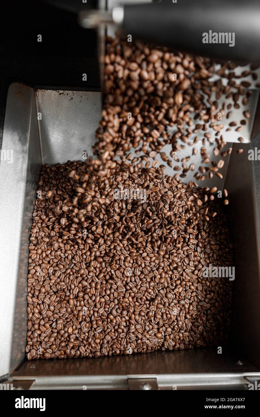 Coffee processing. Roastery, roasting machine and fresh beans Stock ...