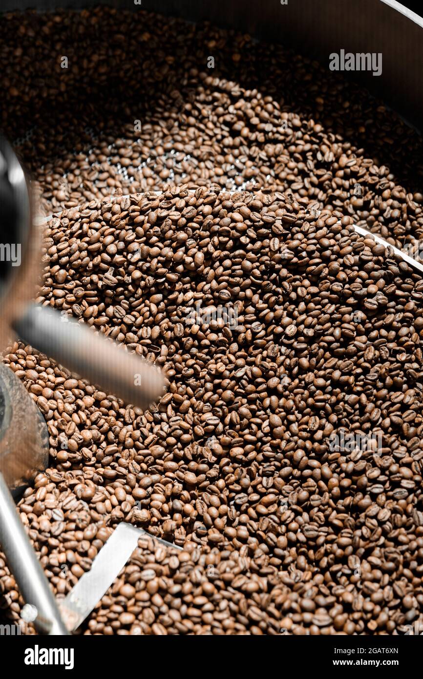 Coffee processing. Roastery, roasting machine and fresh beans Stock ...