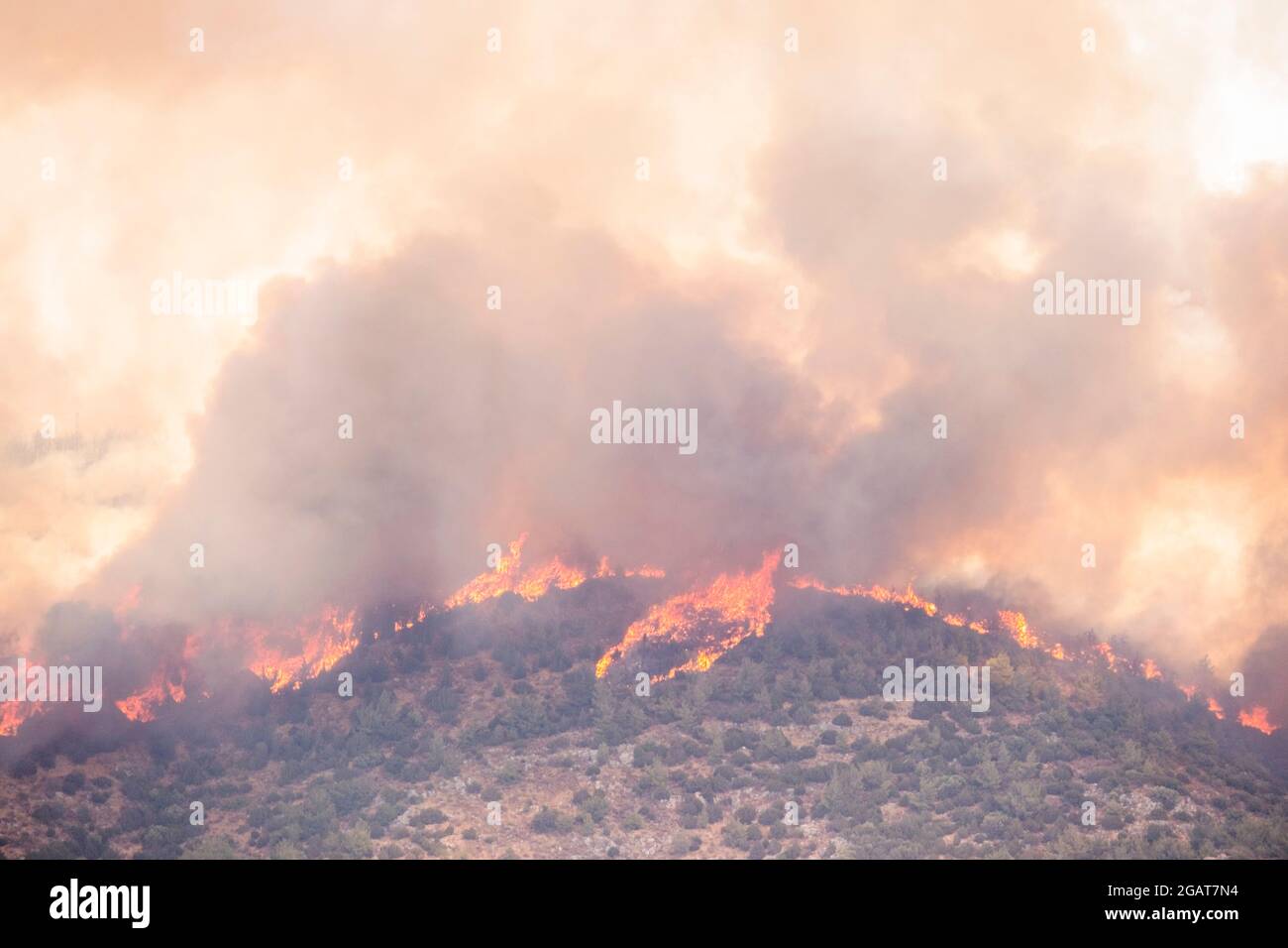 Bushfire hill hi-res stock photography and images - Alamy