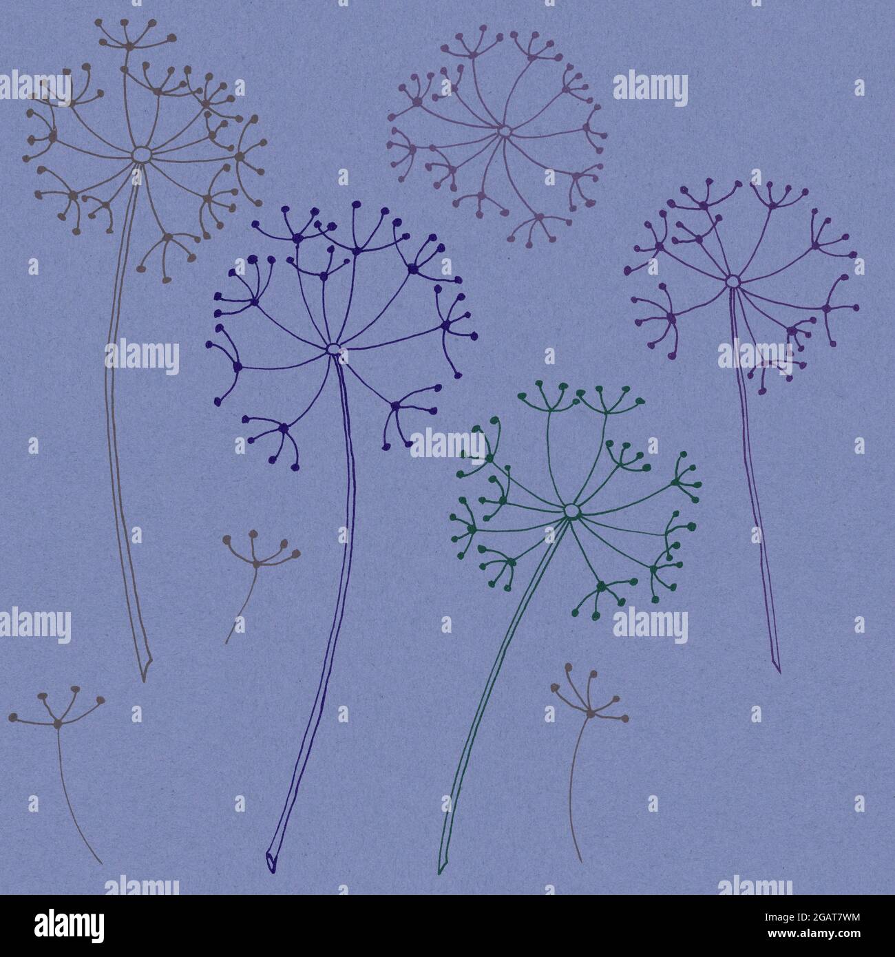 line drawings of floral motifs, dandelion theme, several variants Stock ...