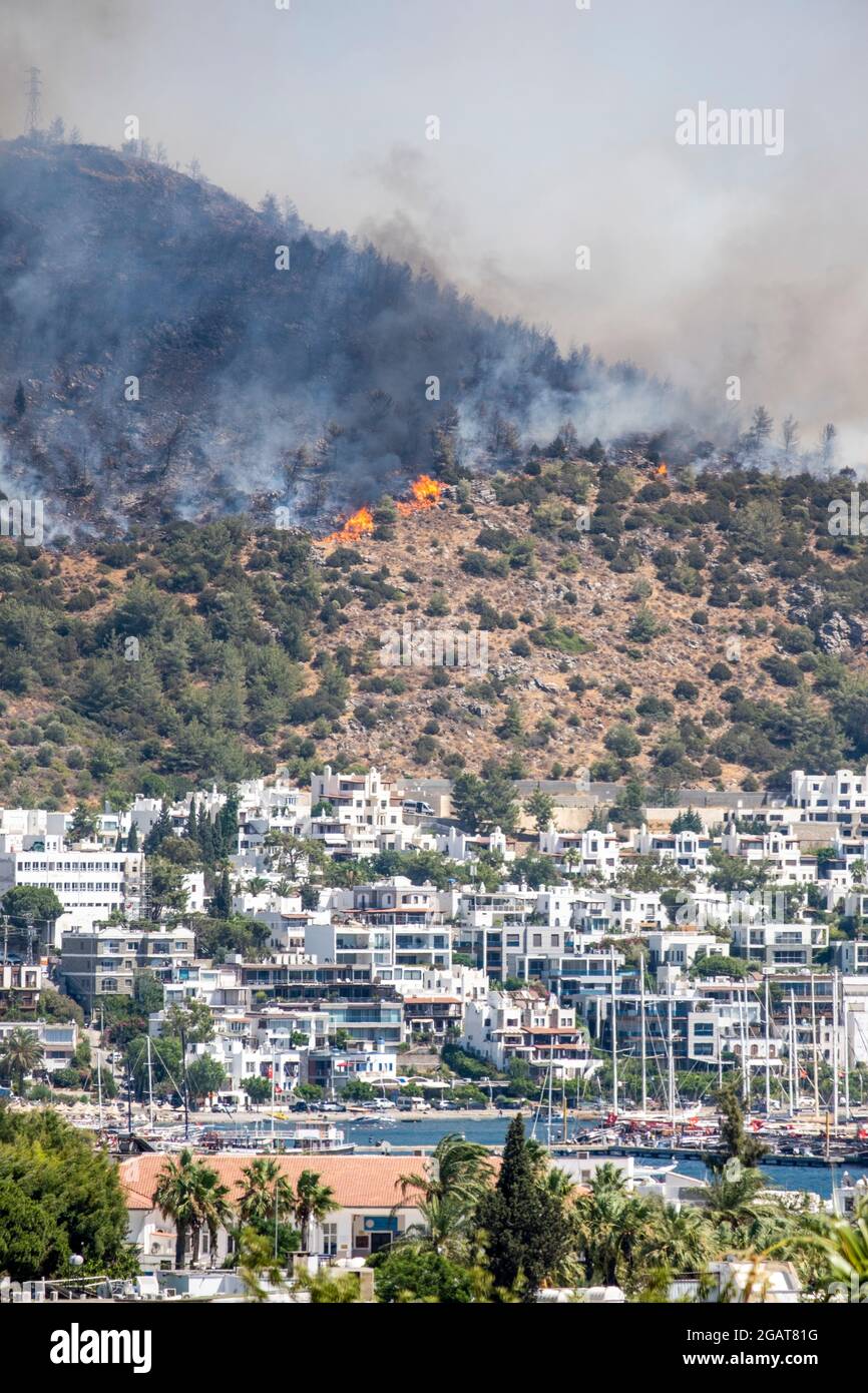 Breaking news and topics: Flames and smoke from wildfires cover the ...