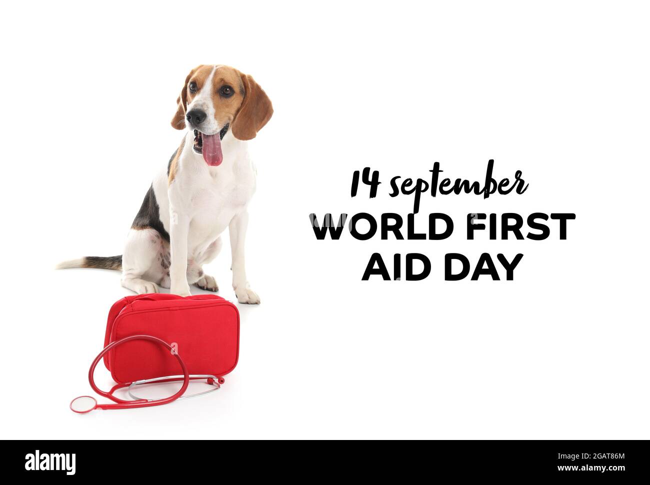 World animal day card Cut Out Stock Images & Pictures - Alamy