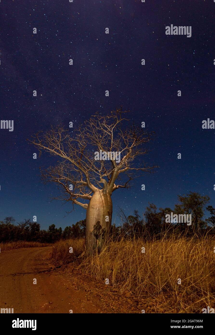 Australia outback night sky hi-res stock photography and images - Alamy