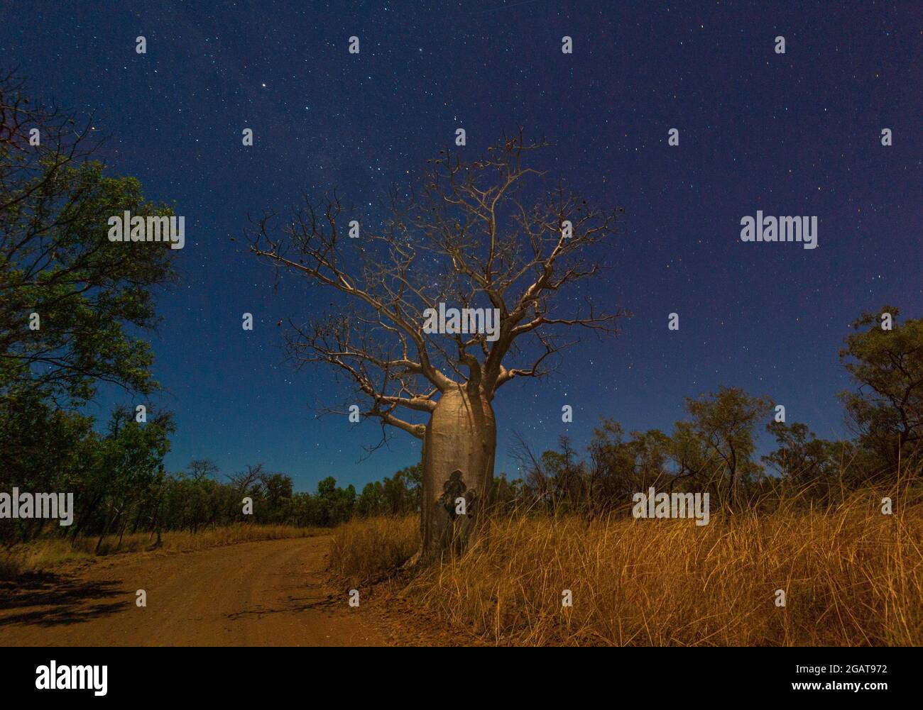 Australia outback night sky hi-res stock photography and images - Alamy