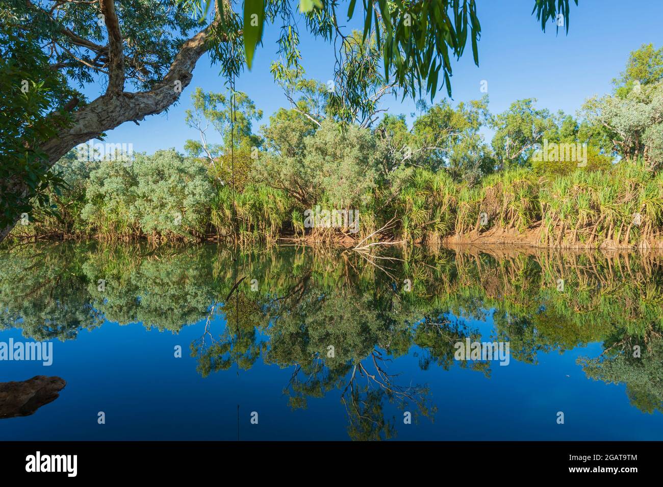 Australian wetland landscape hi-res stock photography and images - Alamy