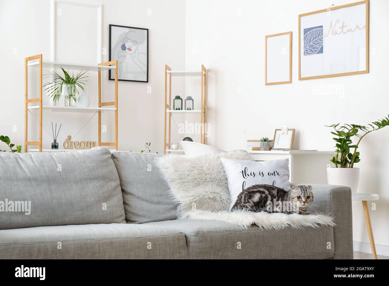 Interior of stylish living room with pictures and cute cat Stock Photo ...