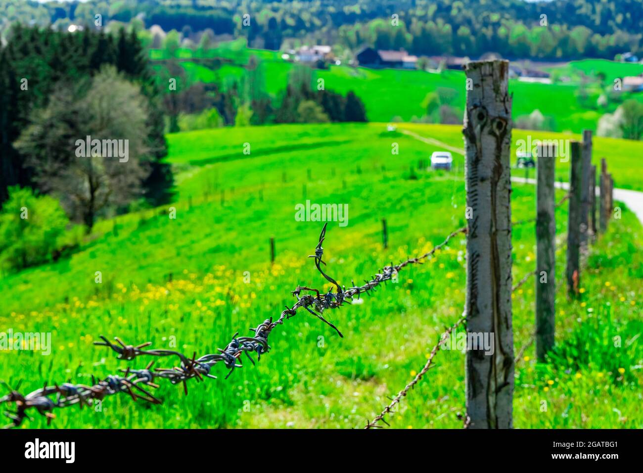 Barbed Wire Fence near Meadow in the Bavarian Forest Germany Stock ...