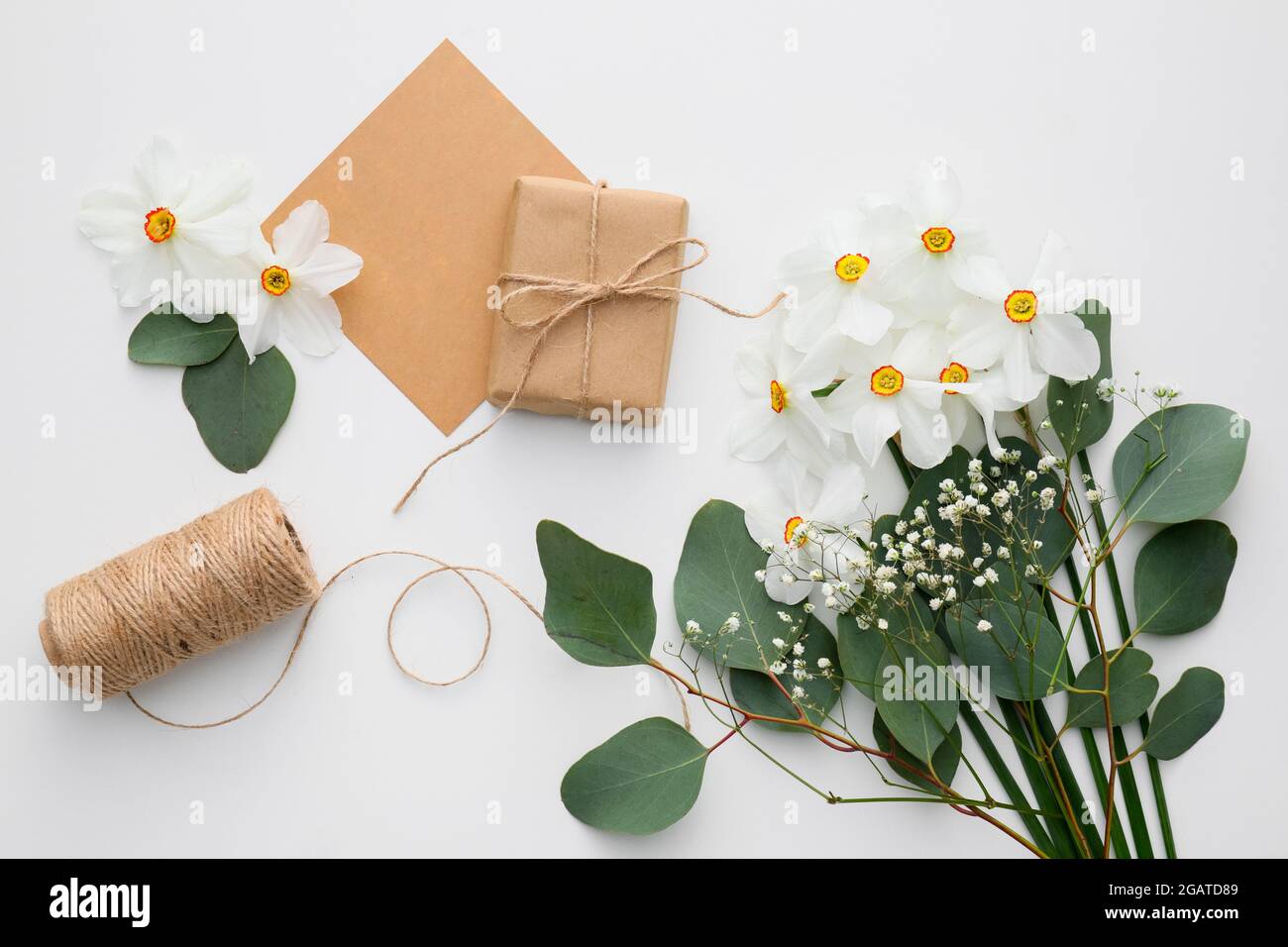 Beautiful daffodils, rope and gift box on white background Stock Photo ...