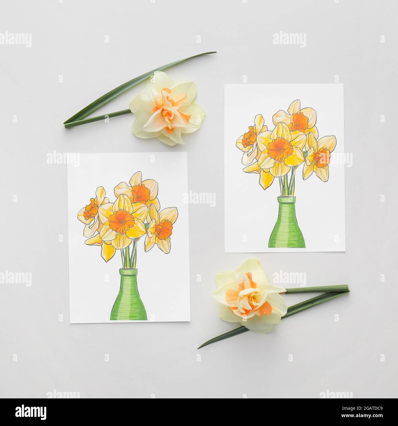 Beautiful daffodils and greeting cards on white background Stock Photo ...