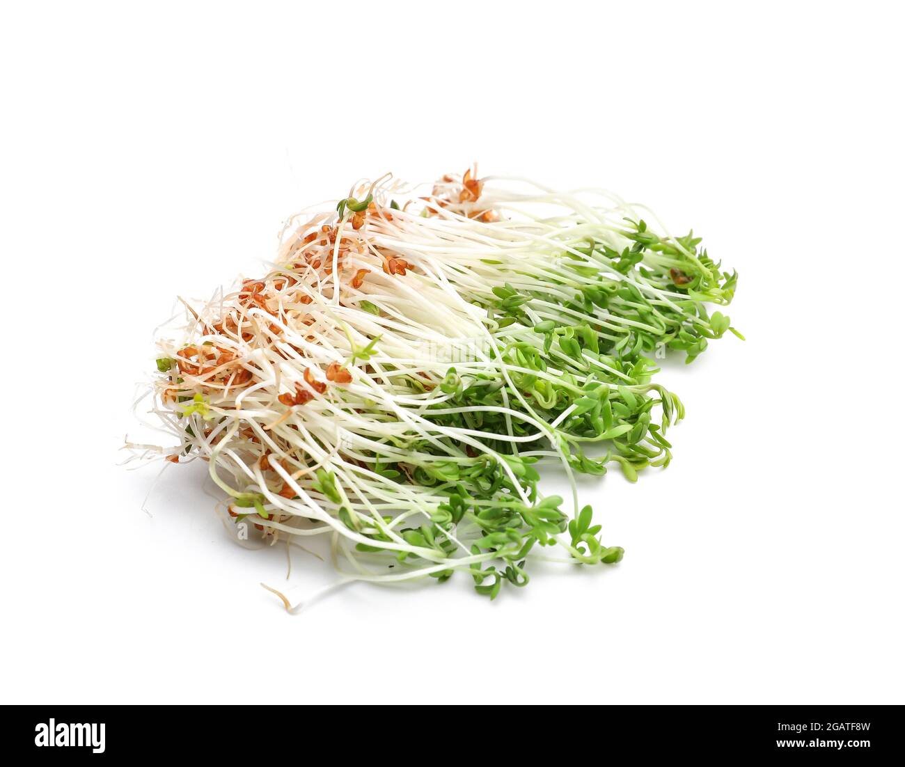 Sprouting microgreens on white Cut Out Stock Images & Pictures - Alamy
